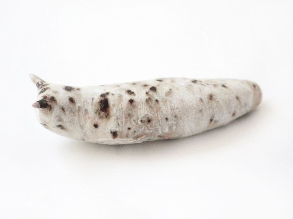 Slug 10 (Salt 2025) – La Guilde